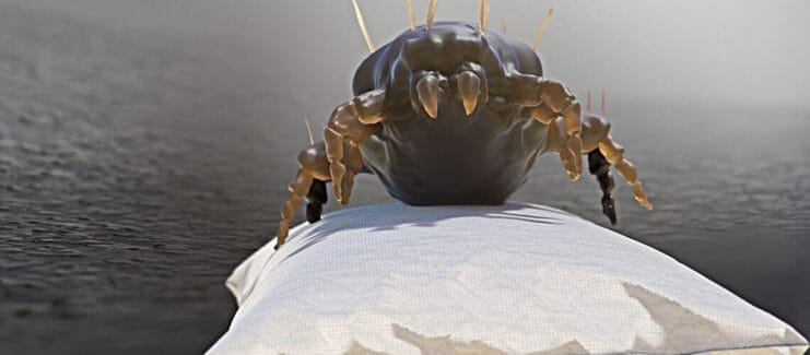 American Air Testing Environmental Consulting | American Air Testing